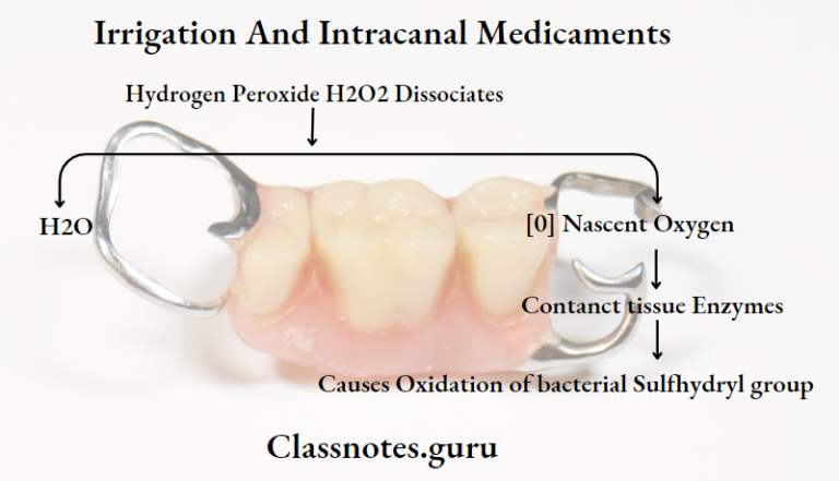 Irrigation And Intracanal Medicaments Question And Answers - Class Notes