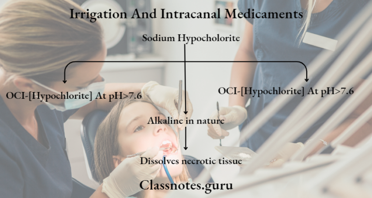 Irrigation And Intracanal Medicaments Question And Answers - Class Notes