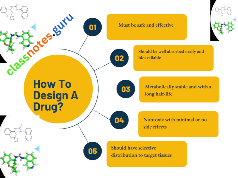 The Process of Structure-Based Drug Design - Class Notes