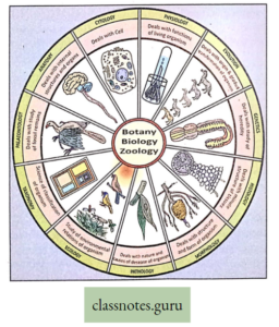 Diversity In Living Organisms Class 9 Notes - Class Notes