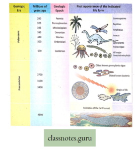 Diversity In Living Organisms Class 9 Notes - Class Notes