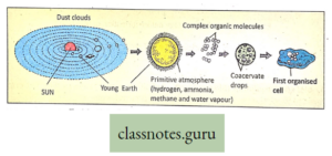 Diversity In Living Organisms Class 9 Notes - Class Notes