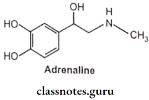 Drugs Acting On Autonomic Nervous System Adrenergic Drugs Notes - Class ...