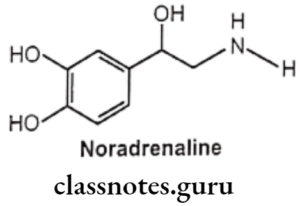 Drugs Acting On Autonomic Nervous System Adrenergic Drugs Notes - Class ...