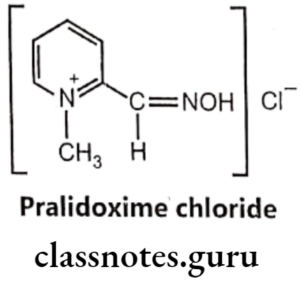Drugs Acting On Autonomic Nervous System Notes - Class Notes