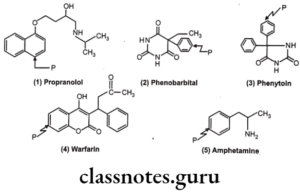 Introduction To Medicinal Chemistry - Class Notes