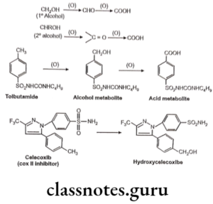 Introduction To Medicinal Chemistry - Class Notes