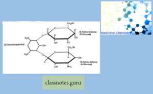 Amino Glycosides: Classification and its Side Effects - Class Notes
