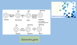 Sulphonamides And Sulfones Notes - Class Notes