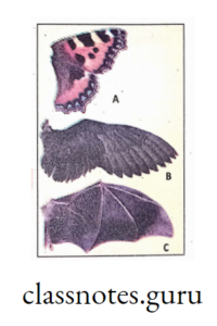 Class 10 Science Notes For Evolution And Adaptation - Class Notes