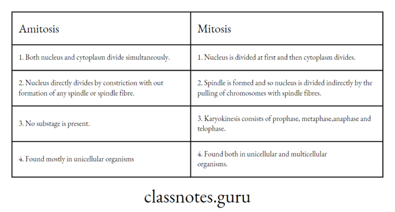 Class 10 Science Notes For Continuity Of Life - Class Notes