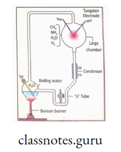 Class 10 Science Notes For Evolution And Adaptation - Class Notes