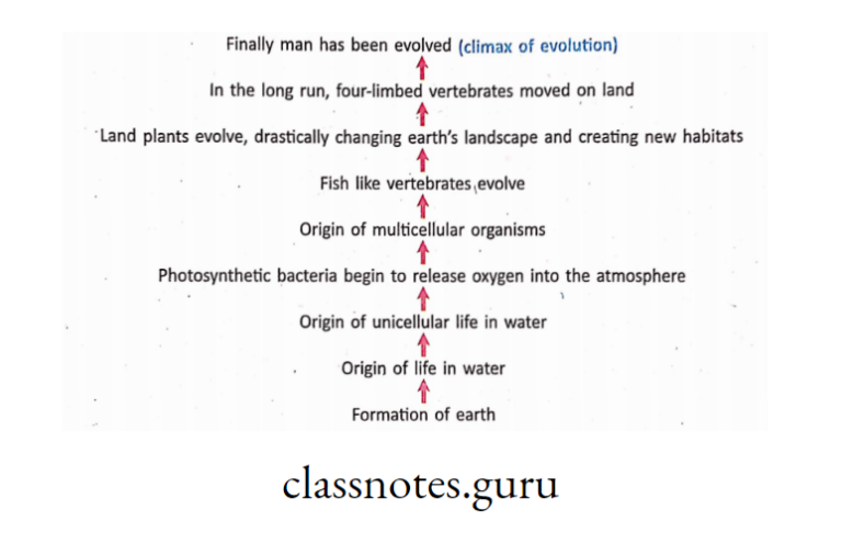 Class 10 Science Notes For Evolution And Adaptation - Class Notes