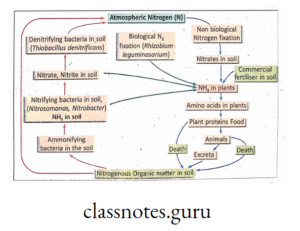 Class 10 Science Notes For Environment, Its Resources And Their ...