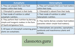 class 9 Physiological process of life Notes - Class Notes