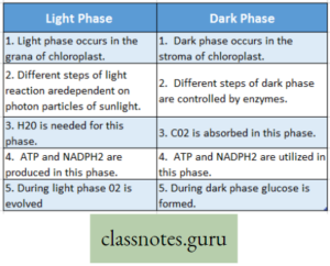 class 9 Physiological process of life Notes - Class Notes