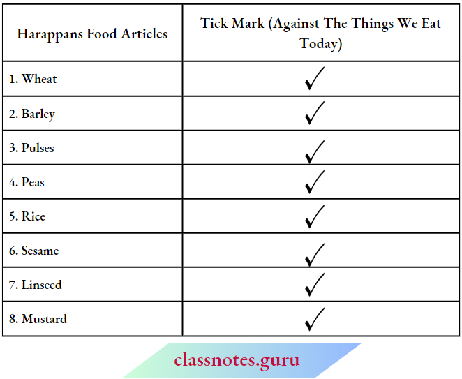 NCERT Solutions For Class 6 History Chapter 3 In The Earliest Cities ...