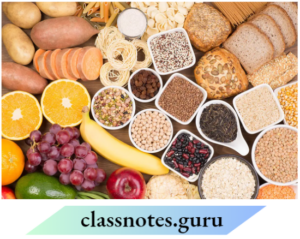 NCERT Class 6 Science Chapter 1 Components Of Food Question And Answers ...