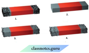 NCERT Class 6 Science Chapter 10 Fun With Magnets Question And Answers ...