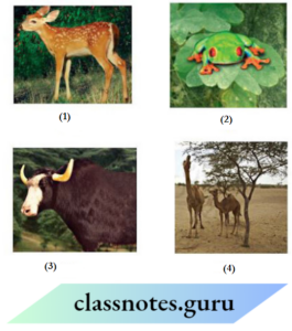 NCERT Class 6 Science Chapter 6 Questions And Answers - Class Notes