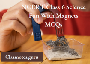 NCERT Class 6 Science Chapter 10 Fun With Magnets Multiple Choice ...