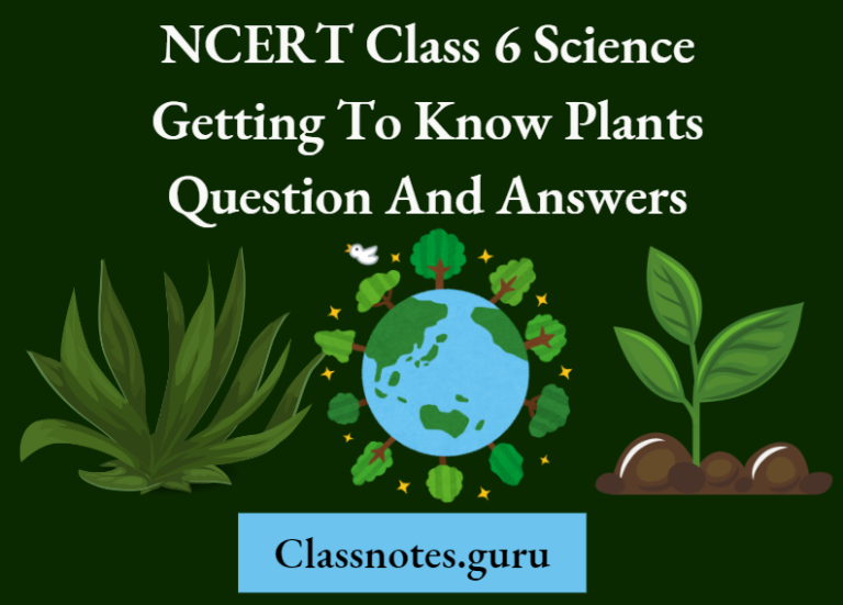 NCERT Class 6 Science Chapter 4 Getting To Know Plants Question And ...