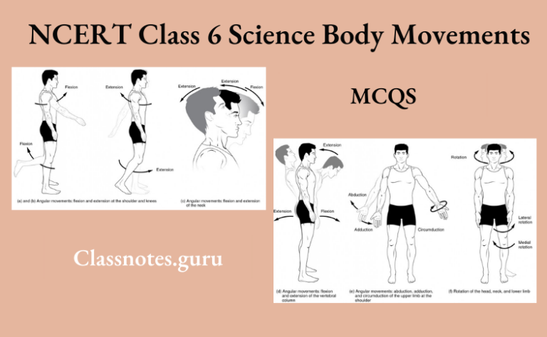 NCERT Class 6 Science Chapter 5 Body Movement Multiple Choice Questions ...