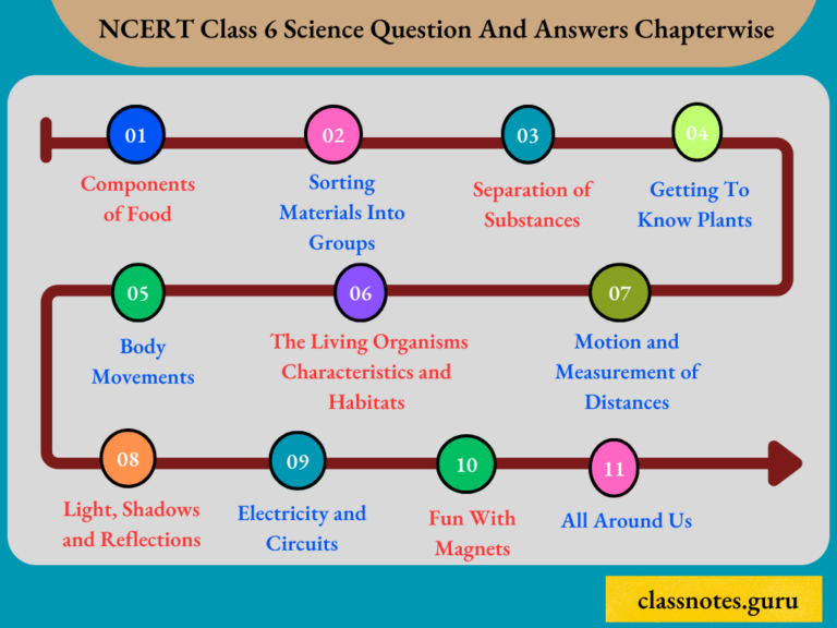 NCERT Class 6 Science Question and Answers Chapterwise - Class Notes