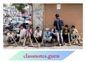 NCERT Solutions For Class 6 Civics Chapter 8 Urban Livelihoods - Class ...