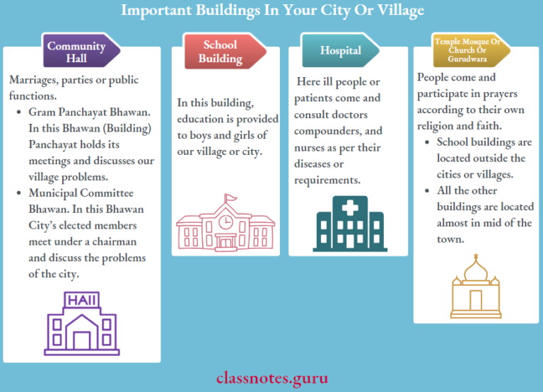NCERT Solutions For Class 6 History Chapter 3 In The Earliest Cities ...