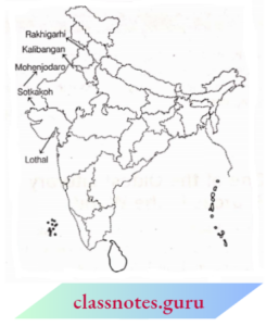 NCERT Solutions For Class 6 History Social Science Chapter 3 In The ...