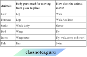 NCERT Class 6 Science Chapter 5 Body Movement Question And Answers ...