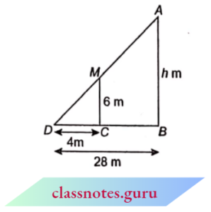 NCERT Exemplar Solutions For Class 10 Maths Chapter 6 Triangle - Class ...