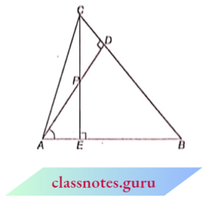 NCERT Exemplar Solutions For Class 10 Maths Chapter 6 Triangle - Class ...