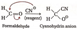 CBSE Class 11 Chemistry Notes For Fundamental Concepts Of Organic ...