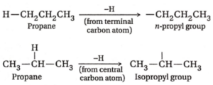 CBSE Class 11 Chemistry Notes For Organic Chemistry Basic Principles ...