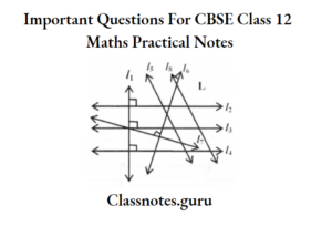 Important Questions For CBSE Class 12 Maths Practical Notes - Class Notes