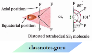 CBSE Class 11 Chemistry Chapter 4 Notes Chemical Bonding And Molecular ...