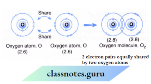 CBSE Class 11 Chemistry Chapter 4 Notes Chemical Bonding And Molecular ...