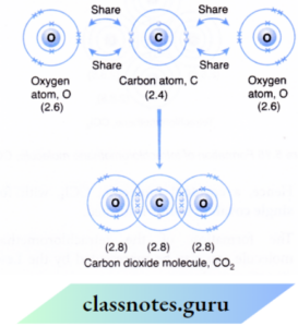 CBSE Class 11 Chemistry Chapter 4 Notes Chemical Bonding And Molecular ...