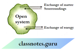 CBSE Class 11 Chemistry Notes For Chapter 6 Chemical Thermodynamics ...