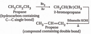 NCERT Class 11 Chemistry Chapter 13 Hydrocarbons Long Question And ...