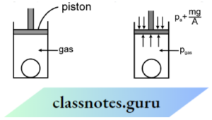 NEET Physics Class 11 Chapter 4 Elasticity And Viscosity Notes - Class ...