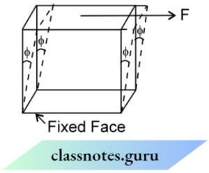 NEET Physics Class 11 Chapter 4 Elasticity And Viscosity Notes - Class ...
