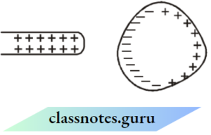 NEET Physics Class 12 Chapter 5 Electrostatics Notes - Class Notes