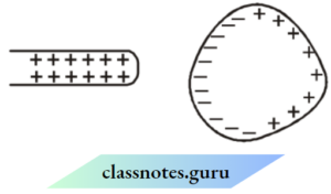 NEET Physics Class 12 Chapter 5 Electrostatics Notes - Class Notes