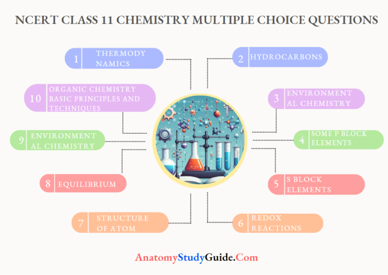NCERT Class 11 Chemistry Multiple Choice Questions - Class Notes