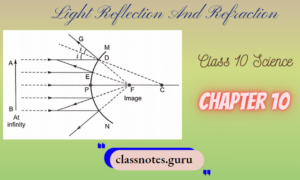 NCERT Solutions For Class 10 Science Chapter 10 Light-Reflection And ...