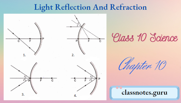 NCERT Solutions For Class 10 Science Chapter 10 Light-Reflection And ...