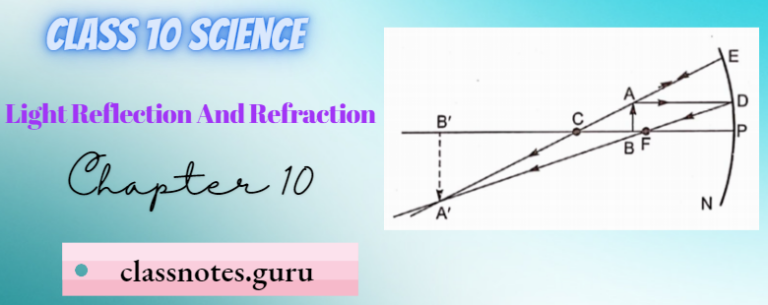 NCERT Solutions For Class 10 Science Chapter 10 Light-Reflection And ...